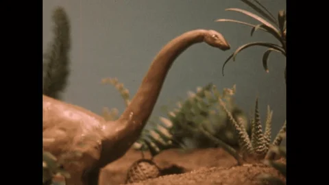 Brunto | New ideas by Matt Weaver Wiki | Fandom