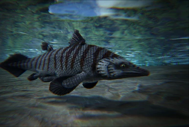 Chinlea-fish | New ideas by Matt Weaver Wiki | Fandom