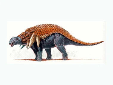 Panoplosaurus | New ideas by Matt Weaver Wiki | Fandom