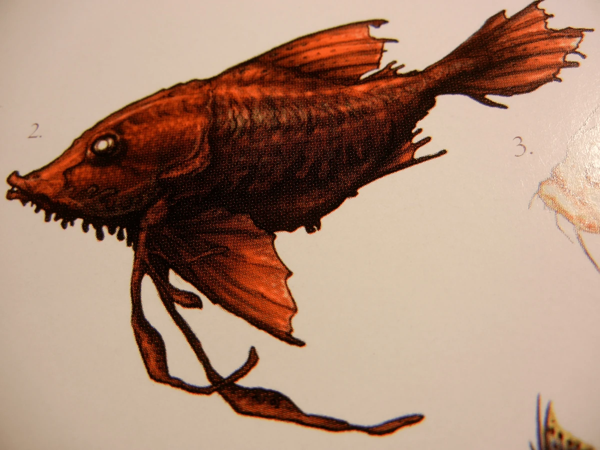 Gribbler | New ideas by Matt Weaver Wiki | Fandom