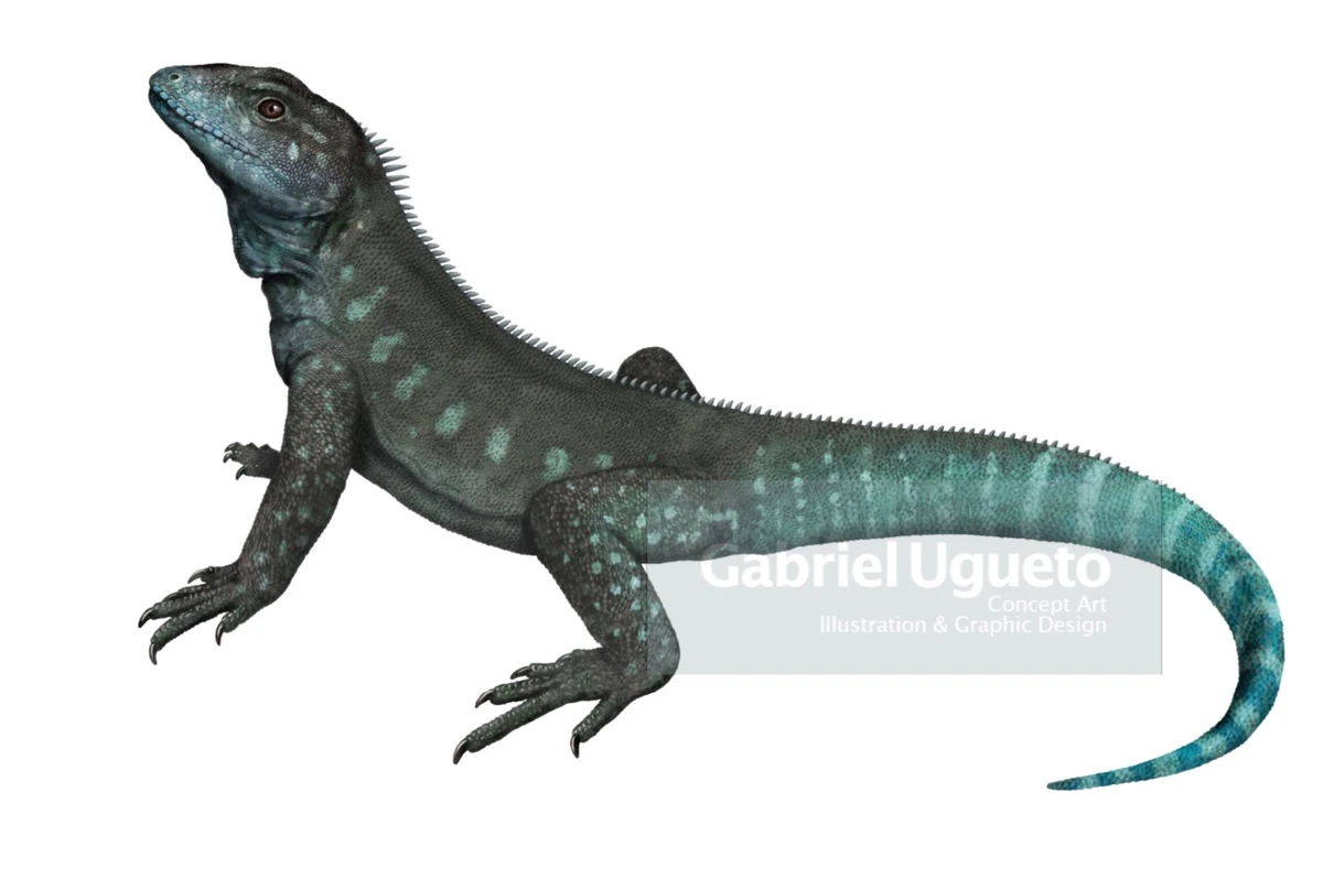 Homoeosaurus | New ideas by Matt Weaver Wiki | Fandom