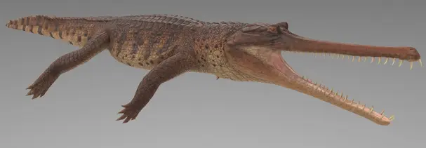 Thoracosaurus | New ideas by Matt Weaver Wiki | Fandom