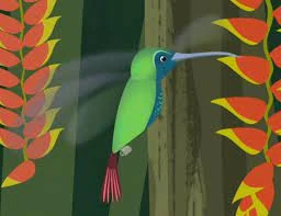 New Wild Kratts-A Hummingbird in waiting | New ideas by Matt Weaver ...