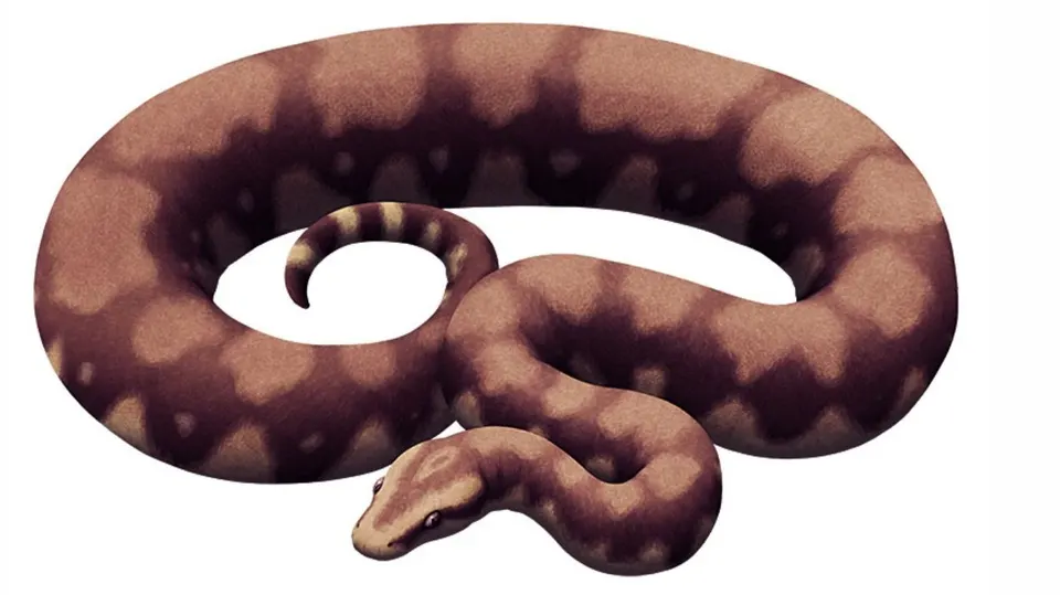 ICE AGE SNAKES = CENZOIC BOOK | New ideas by Matt Weaver Wiki | Fandom