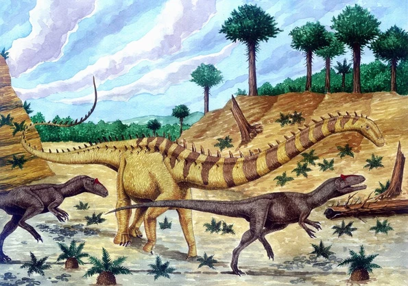 Barosaurus | New ideas by Matt Weaver Wiki | Fandom