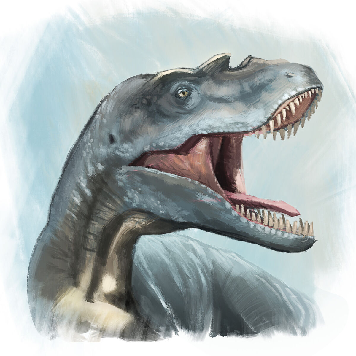 Dinosaur Fan Gallery 1 New Ideas By Matt Weaver Wiki Fandom