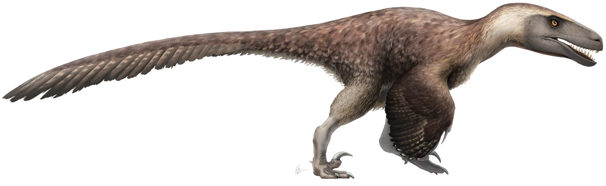 Theropod | New ideas by Matt Weaver Wiki | Fandom