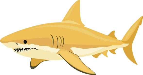 Who could it be: lemon shark version-zoboomafoo and you | New ideas by ...