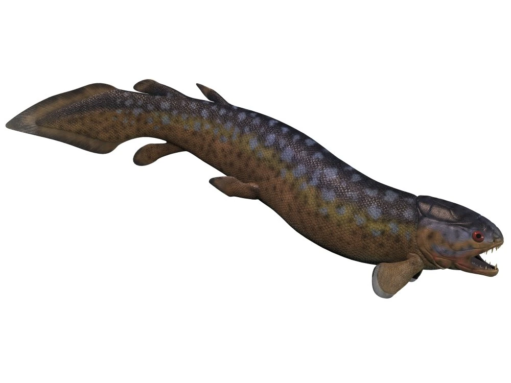 Scar Isle Rhizodont | New ideas by Matt Weaver Wiki | Fandom