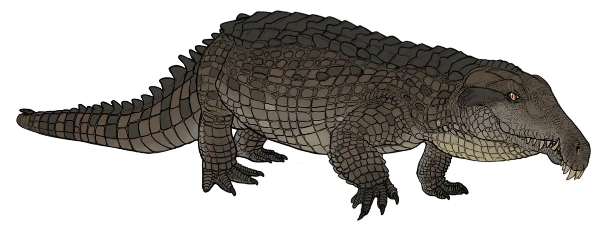 Archosaurus | New ideas by Matt Weaver Wiki | Fandom