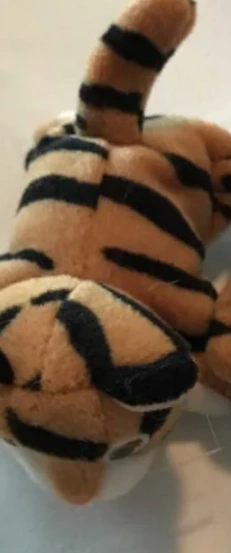 BENGAL TIGERS = POUND JUNGLE | New ideas by Matt Weaver Wiki | Fandom