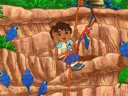 Parrots = GO DIEGO GO | New ideas by Matt Weaver Wiki | Fandom