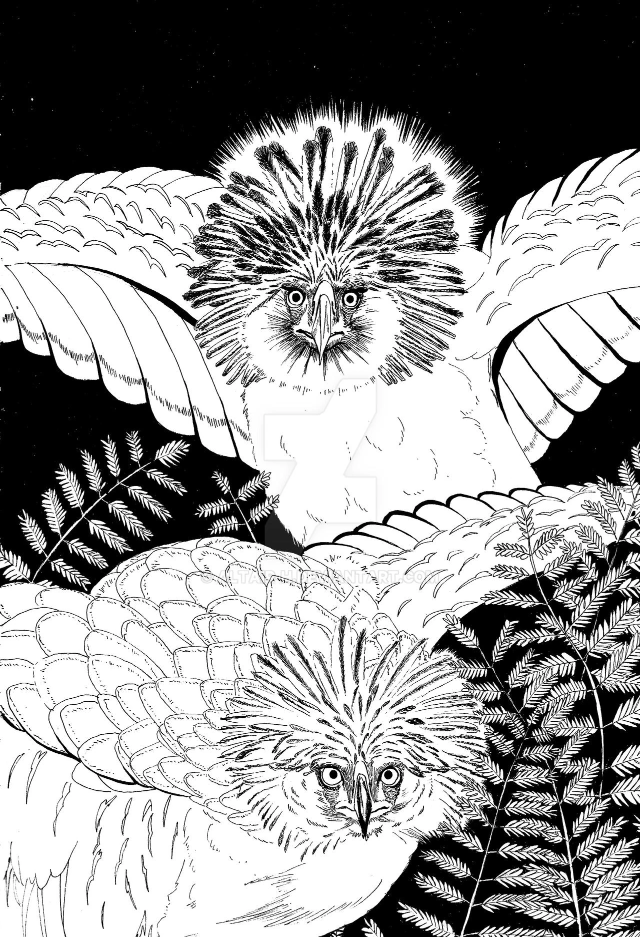 octonauts coloring pages dashiegames