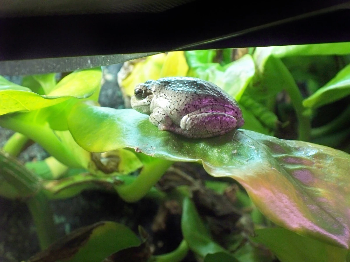 Calvert Marine Museum gallery 1-2 | New ideas by Matt Weaver Wiki | Fandom