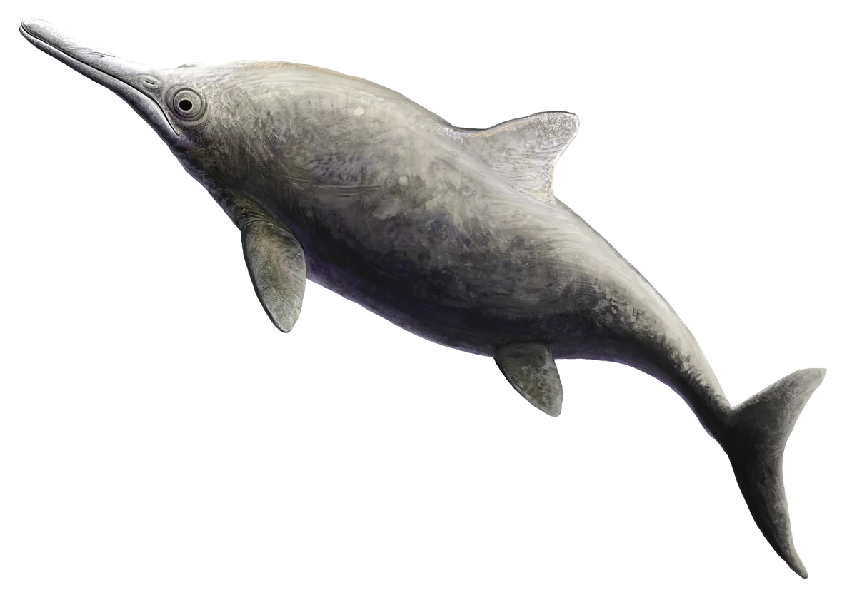 Ichthyosaurus-LBT idea | New ideas by Matt Weaver Wiki | Fandom