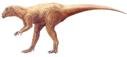 Teratosaurus | New ideas by Matt Weaver Wiki | Fandom