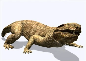 Notosuchus | New ideas by Matt Weaver Wiki | Fandom