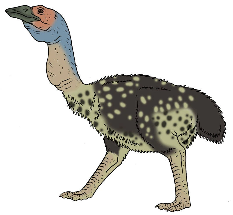 Vomitirhea-scar isle bird | New ideas by Matt Weaver Wiki | Fandom