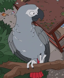 Petey parrot-01 | New ideas by Matt Weaver Wiki | Fandom