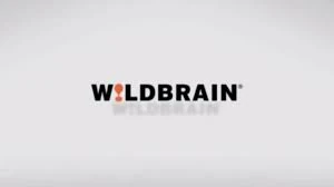 Wildbrain kids 01 DVD ideas | New ideas by Matt Weaver Wiki | Fandom