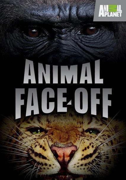 List Of Species From Animal Face Off | New ideas by Matt Weaver Wiki ...
