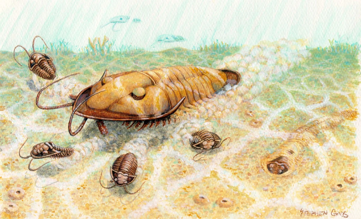 Izzy Isotelus | New ideas by Matt Weaver Wiki | Fandom