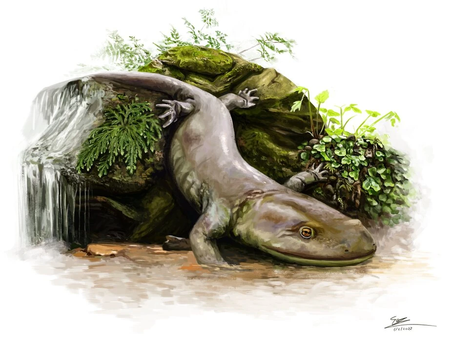 Salamander preview-Littlefoot new series idea 1 | New ideas by Matt ...