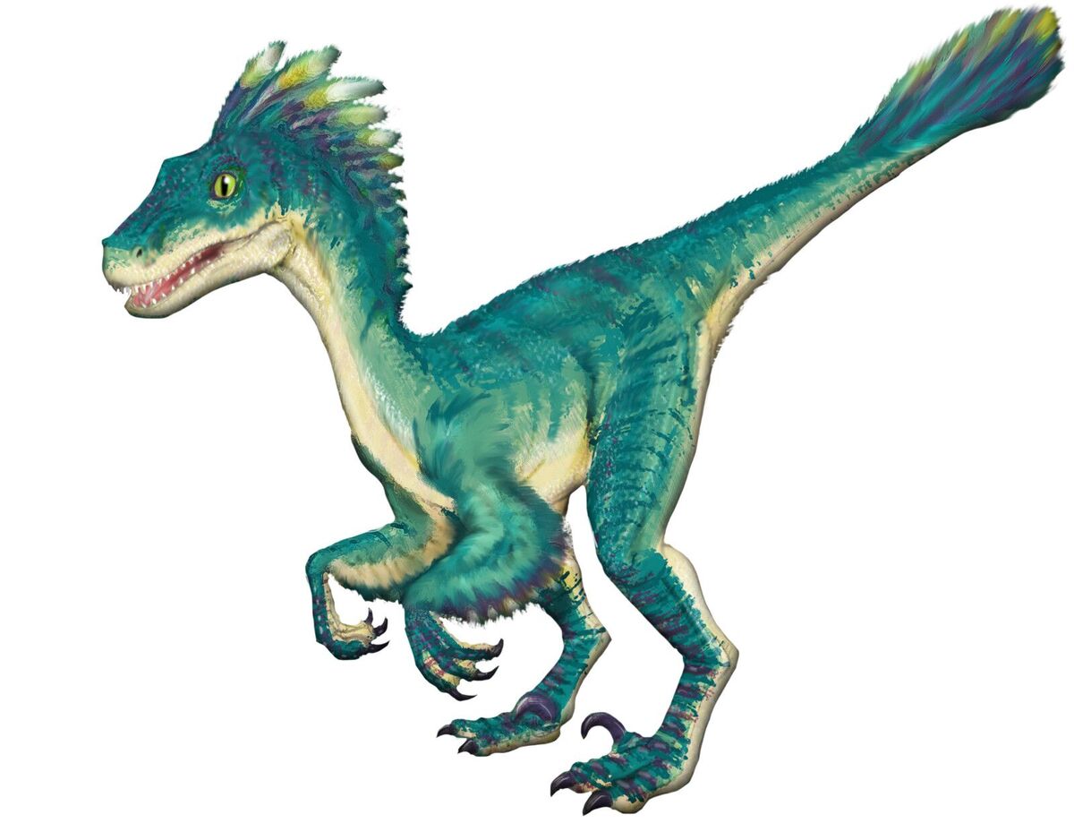 Velociraptor Dino Dan Preview New Ideas By Matt Weaver Wiki Fandom