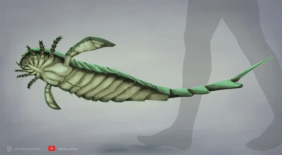 Sea Scorpions-the Most Extreme | New ideas by Matt Weaver Wiki | Fandom