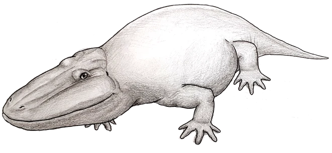 Eryops-LBT 1 | New ideas by Matt Weaver Wiki | Fandom