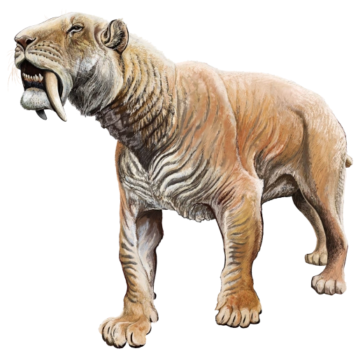 Smiley Smilodon-splash and bubbles prehistoric | New ideas by Matt ...