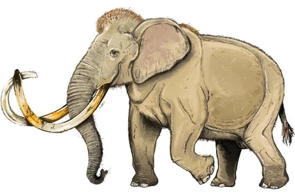 Ice Age Mayhem-Wild Kratts prehistoric | New ideas by Matt Weaver Wiki ...