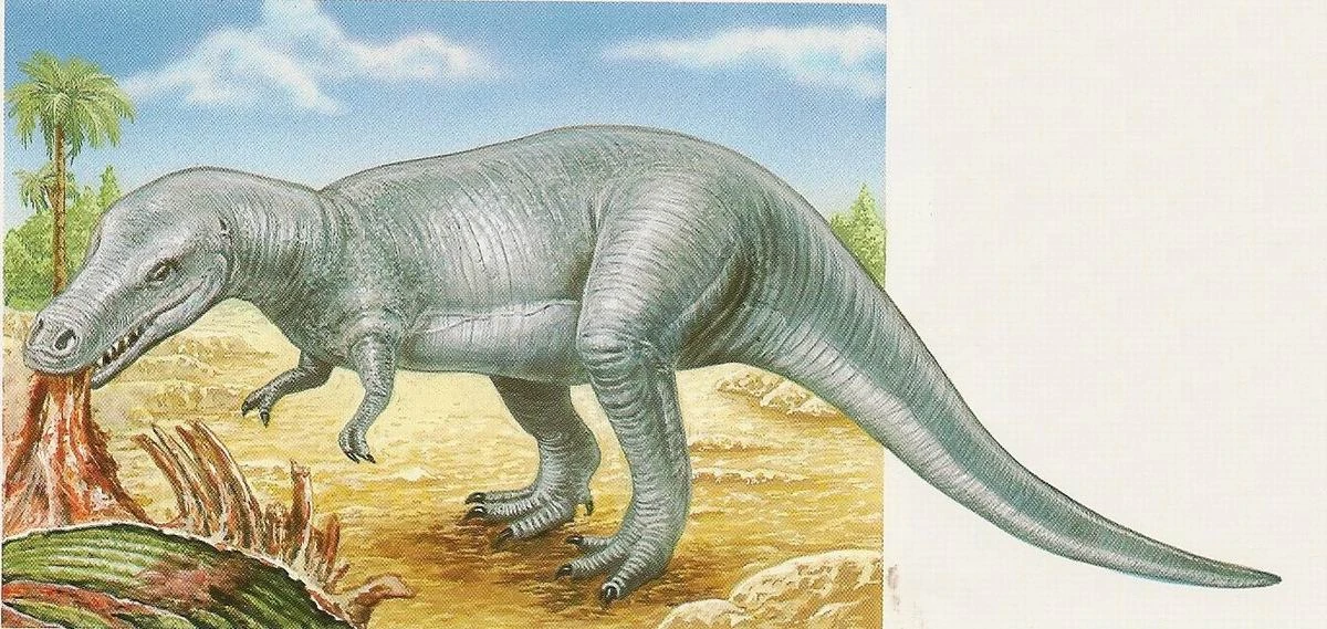 Albertosaurus-splash and bubbles prehistoric | New ideas by Matt Weaver ...