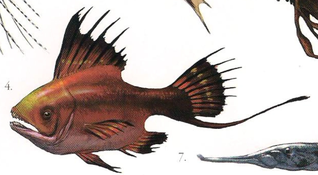 Bloodfish-king kong | New ideas by Matt Weaver Wiki | Fandom