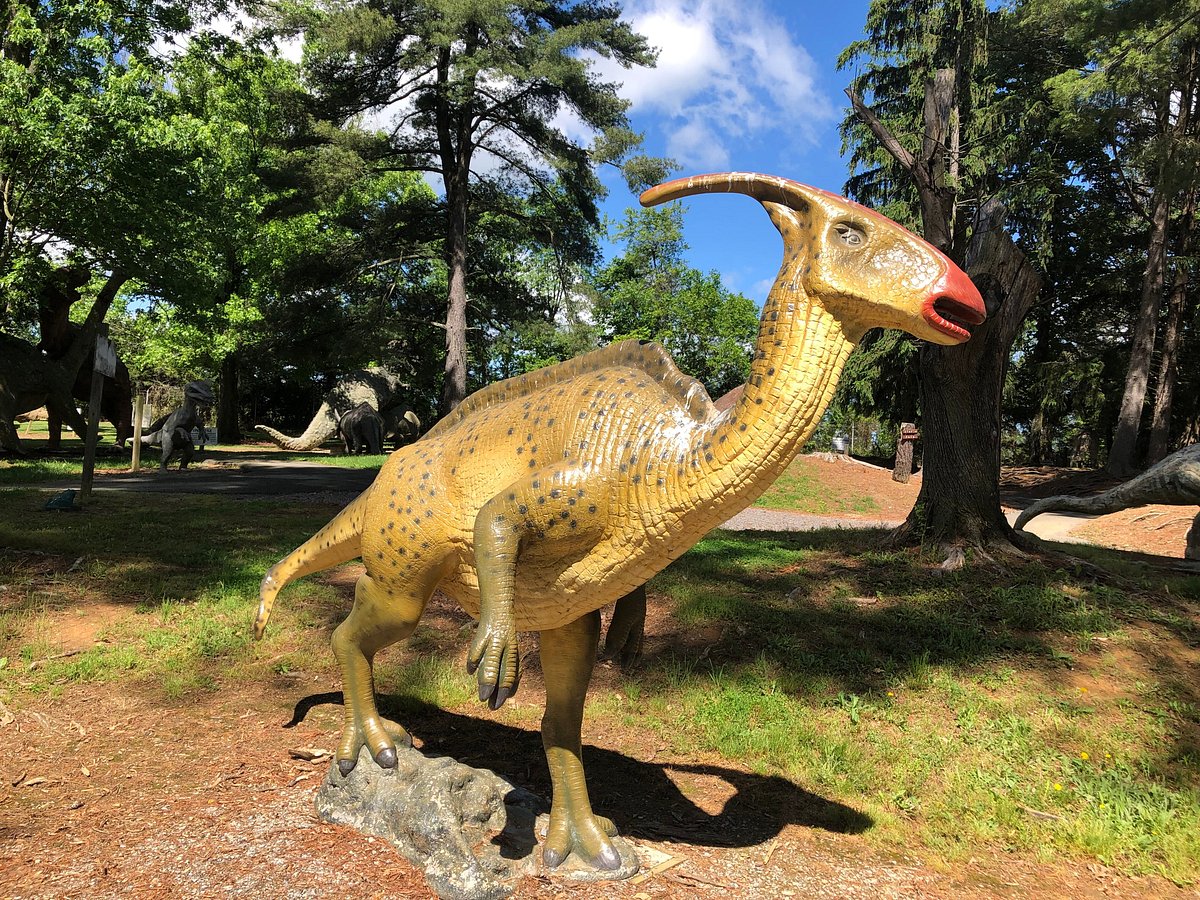 Dinosaur Land Example 1 New Ideas By Matt Weaver Wiki Fandom