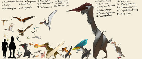 Pterosaur flight-Boneheads: detectives of the paleoworld | New ideas by Matt Weaver Wiki | Fandom