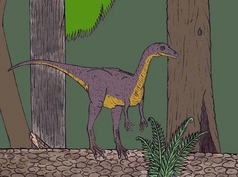 Saltopus-LBT | New ideas by Matt Weaver Wiki | Fandom