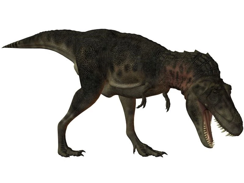 Tarbosaurus--Dinosaur Age Animals (Discovery Kids Documentary) | New ...