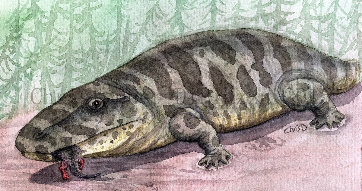 Eryops-LBT 1 | New ideas by Matt Weaver Wiki | Fandom