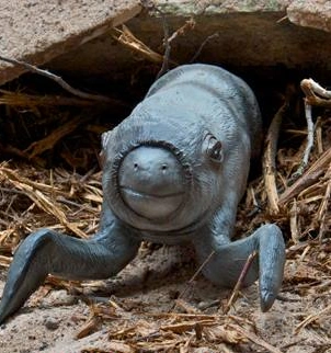 Spink | New ideas by Matt Weaver Wiki | Fandom