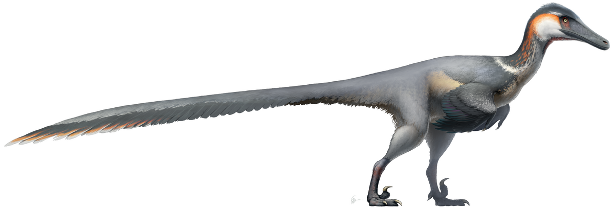 Austroraptor Powers Jurassic Kratts New Ideas By Matt Weaver Wiki