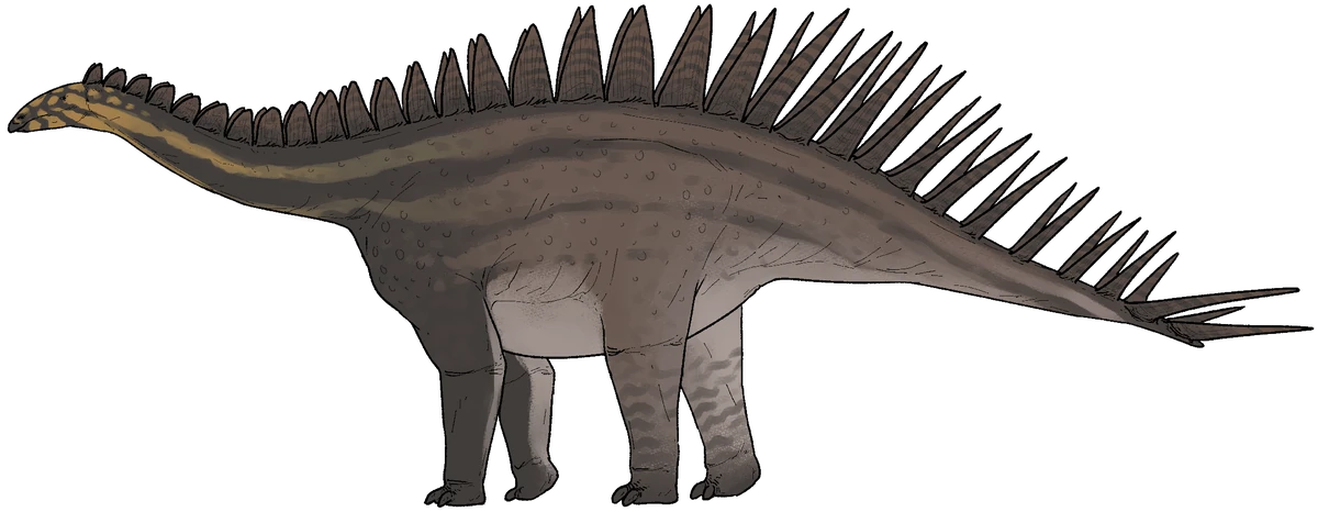 Dacentrurus | New ideas by Matt Weaver Wiki | Fandom