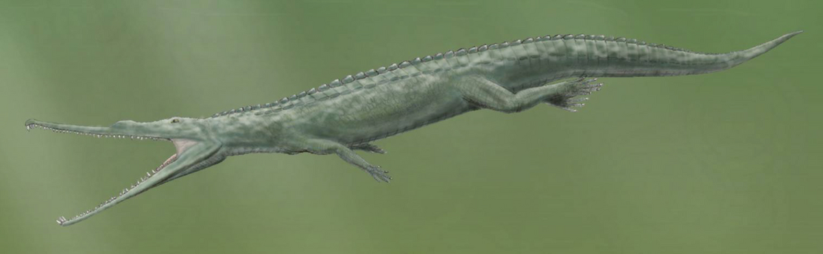 Wild Kratts Prehistoric Phytosaur Power Preview New Ideas By Matt