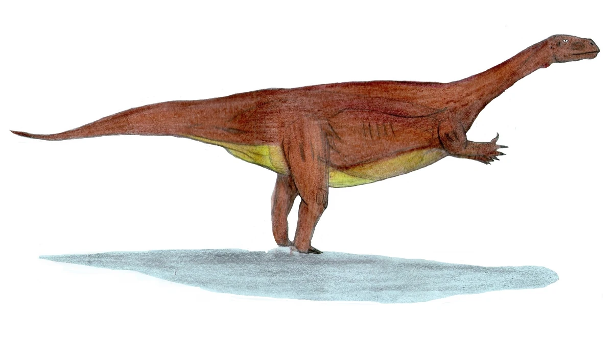 Mussaurus | New ideas by Matt Weaver Wiki | Fandom