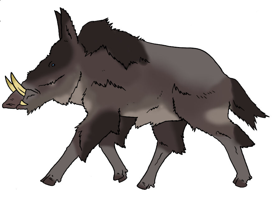 Dire Boar New World Of Kong New Ideas By Matt Weaver Wiki Fandom