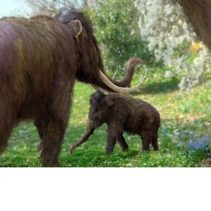 Ice Age Mayhem-Wild Kratts prehistoric | New ideas by Matt Weaver Wiki ...