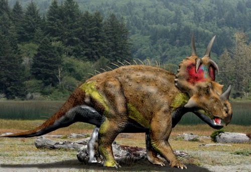 Spinops | New ideas by Matt Weaver Wiki | Fandom