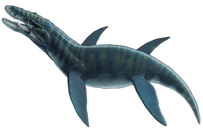 Liopleurodon | New ideas by Matt Weaver Wiki | Fandom