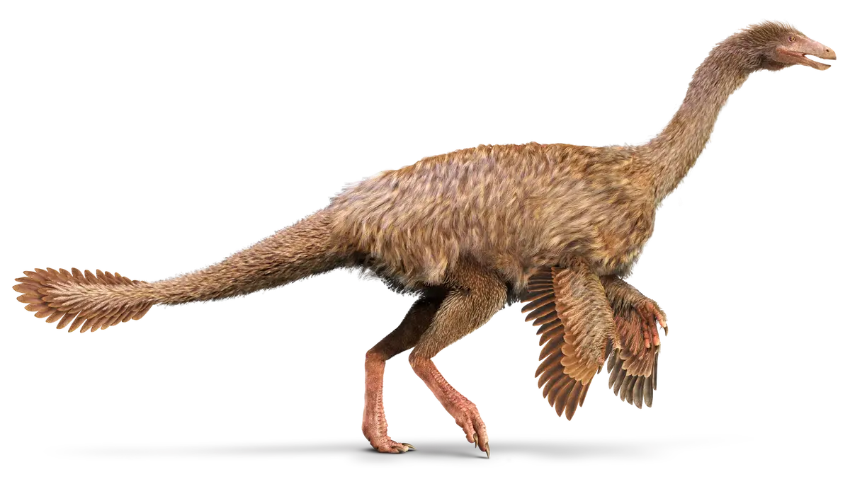 Strutter Struthiomimus-splash and bubbles prehistoric | New ideas by ...