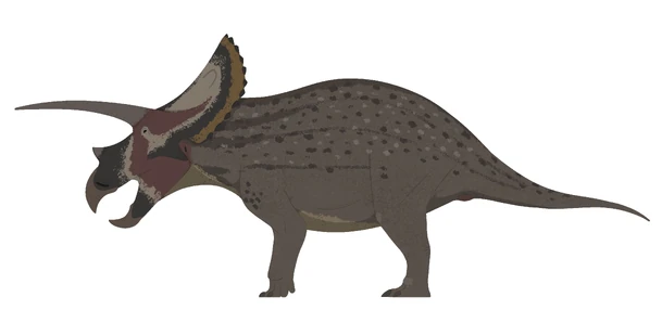 Torosaurus | New ideas by Matt Weaver Wiki | Fandom